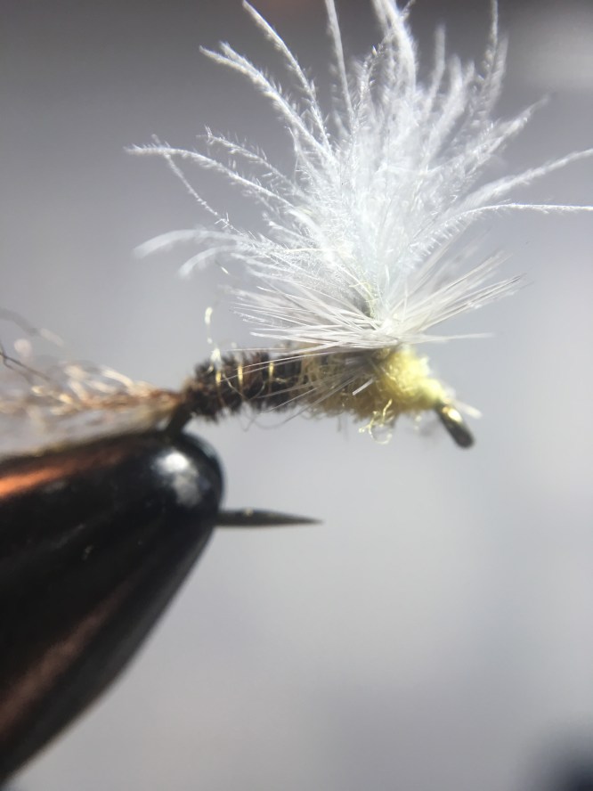 CDC Half & Half Sulphur Emerger – Brushes with Brookies & Beer